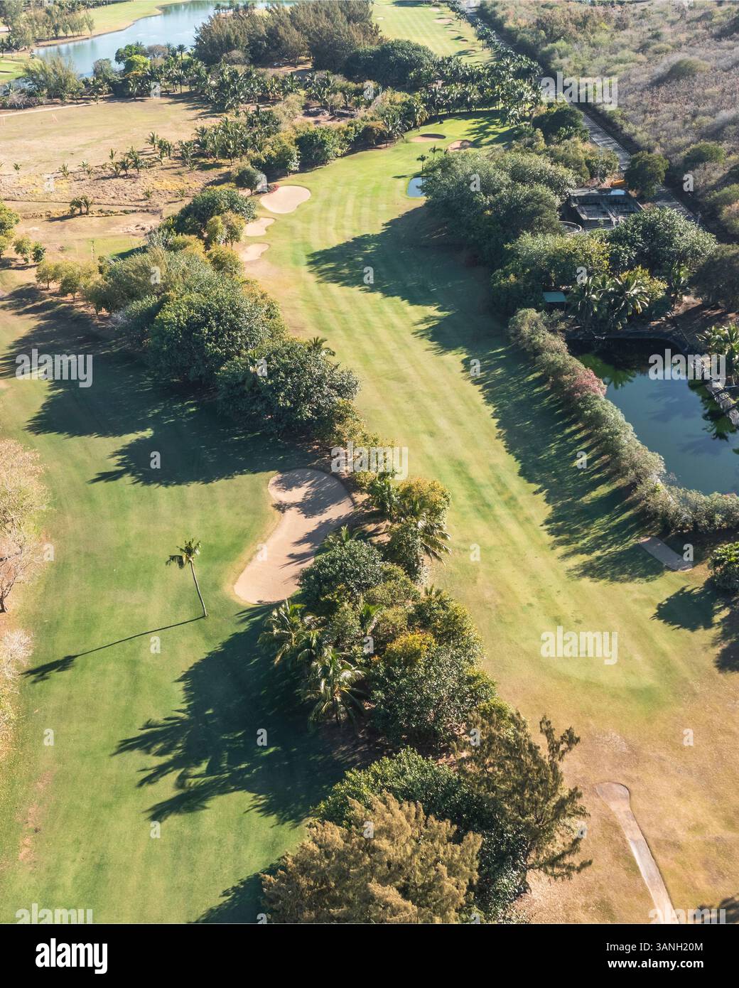Aerial view of a golf court at sunrise, Rivière du Rempart, Mauritius ...