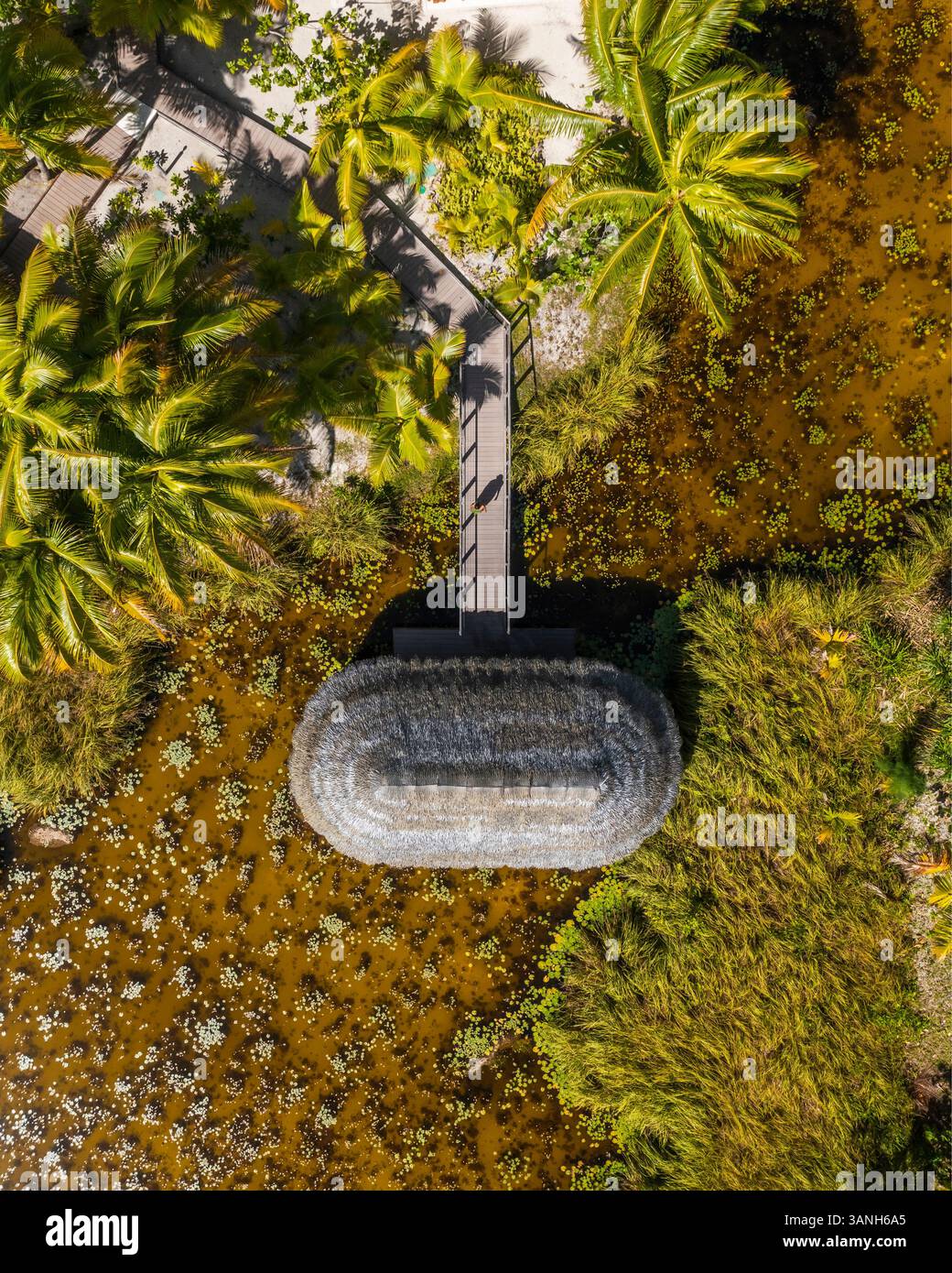 Aerial view of a bungalow in the jungle on Onetahi island, French ...