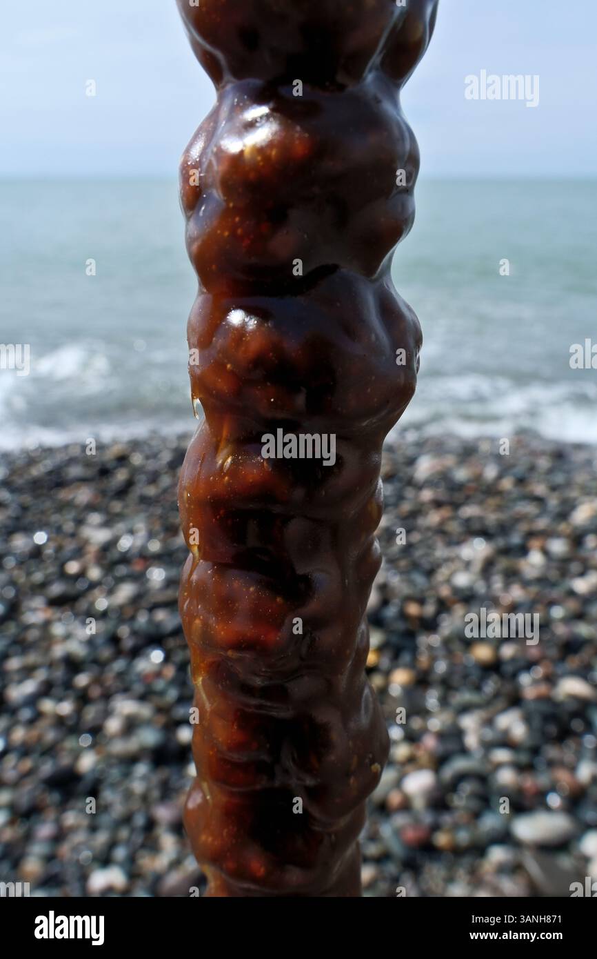 Georgian sweetness churchkhela close-up. Nuts in grape juice ...