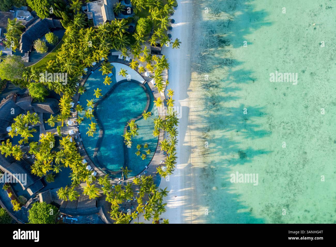 Aerial view of a beautiful swimming pool with palm trees in a luxury ...