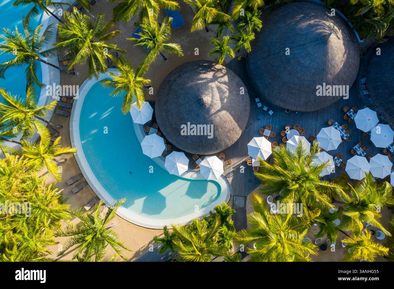 Aerial view of a small garden from a luxury resort in Pointe aux ...
