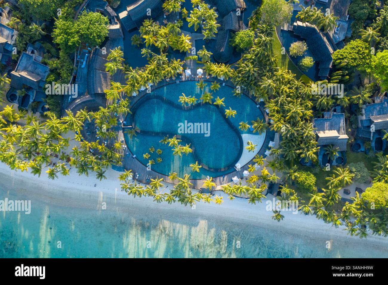 Aerial view of a beautiful swimming pool with palm trees in a luxury ...