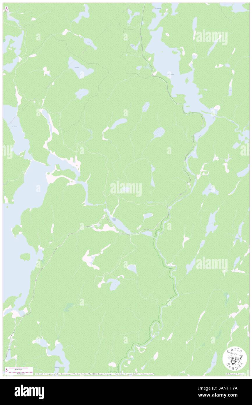 Perdrix blanche hi-res stock photography and images - Alamy