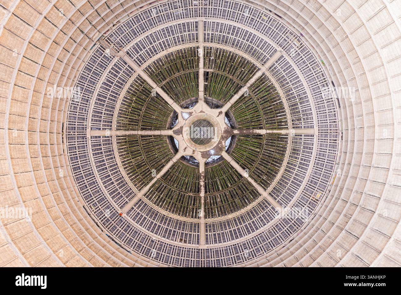 Aerial view of Power plant IM funnel reactor interiors, an abandoned ...