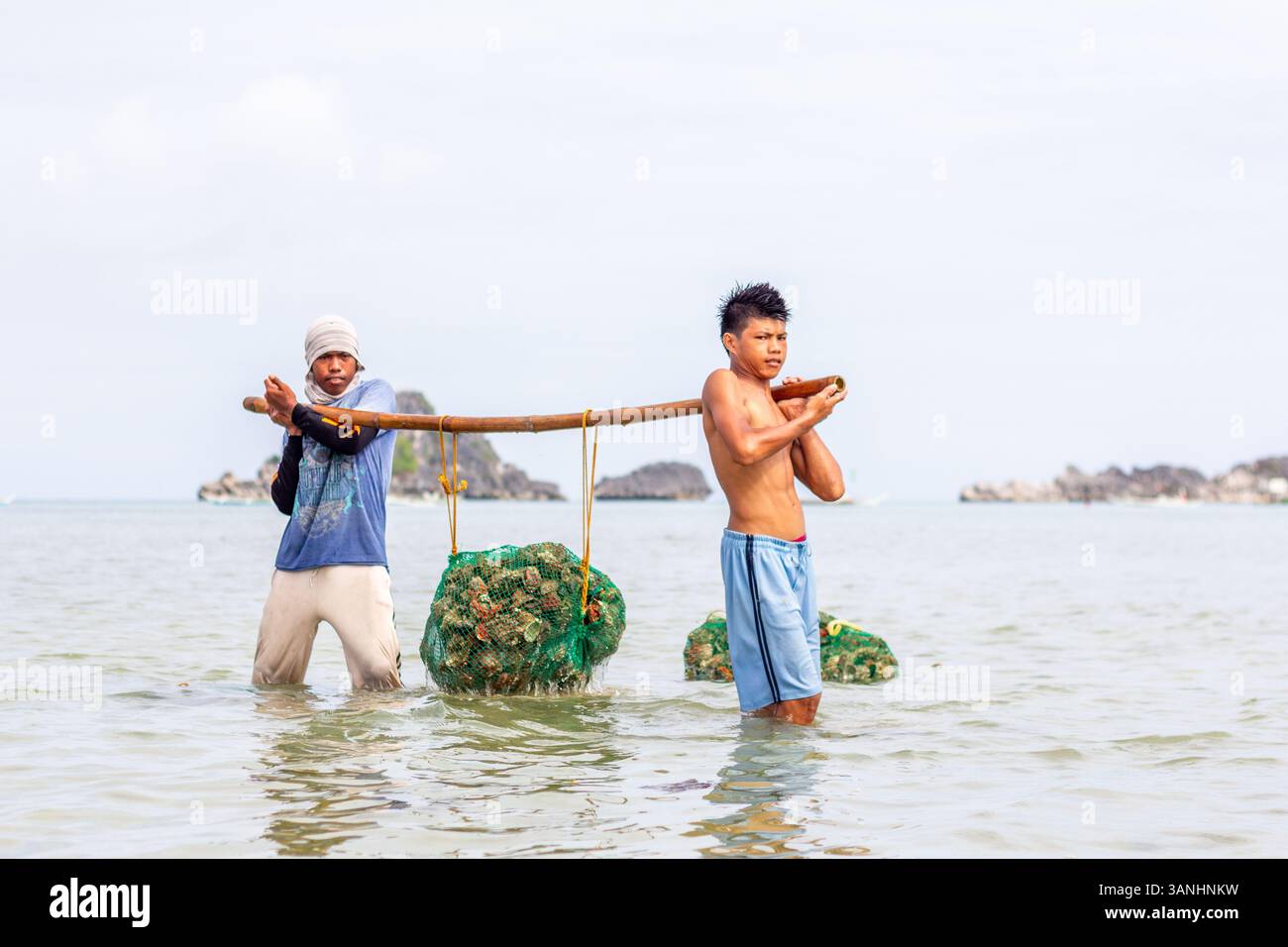 Filipino fishermen transporting harvested scallop shells from boat to ...
