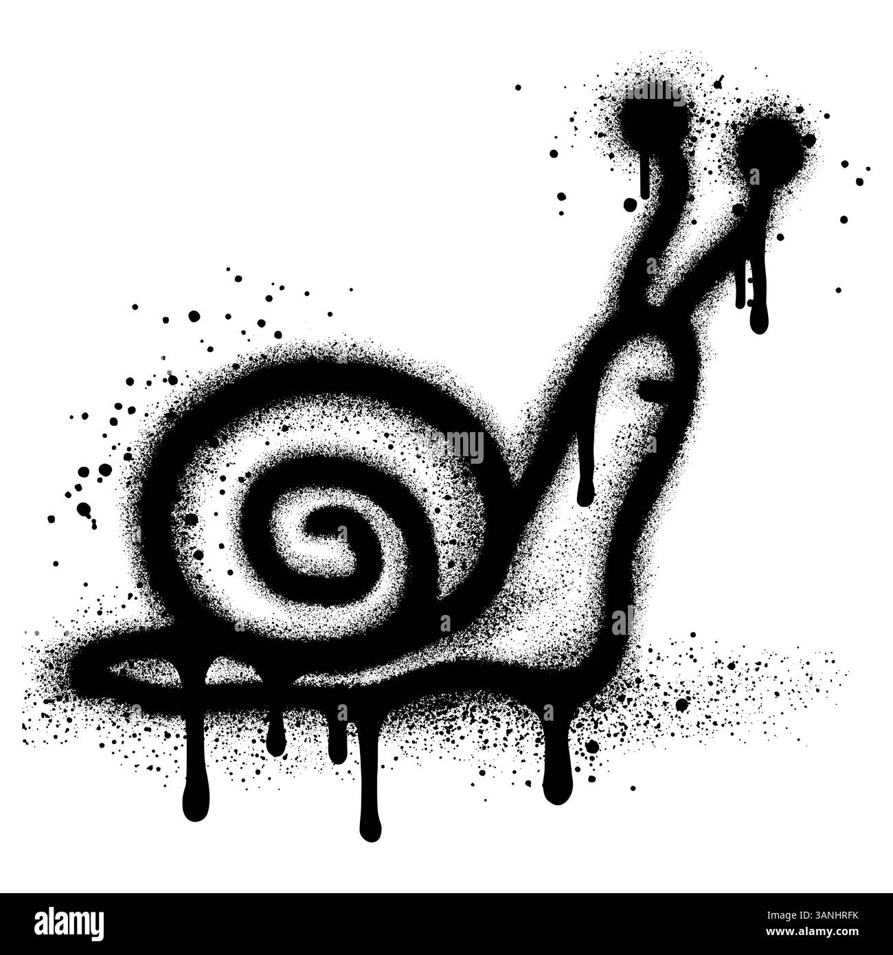 Leaf and snail Black and White Stock Photos & Images - Alamy