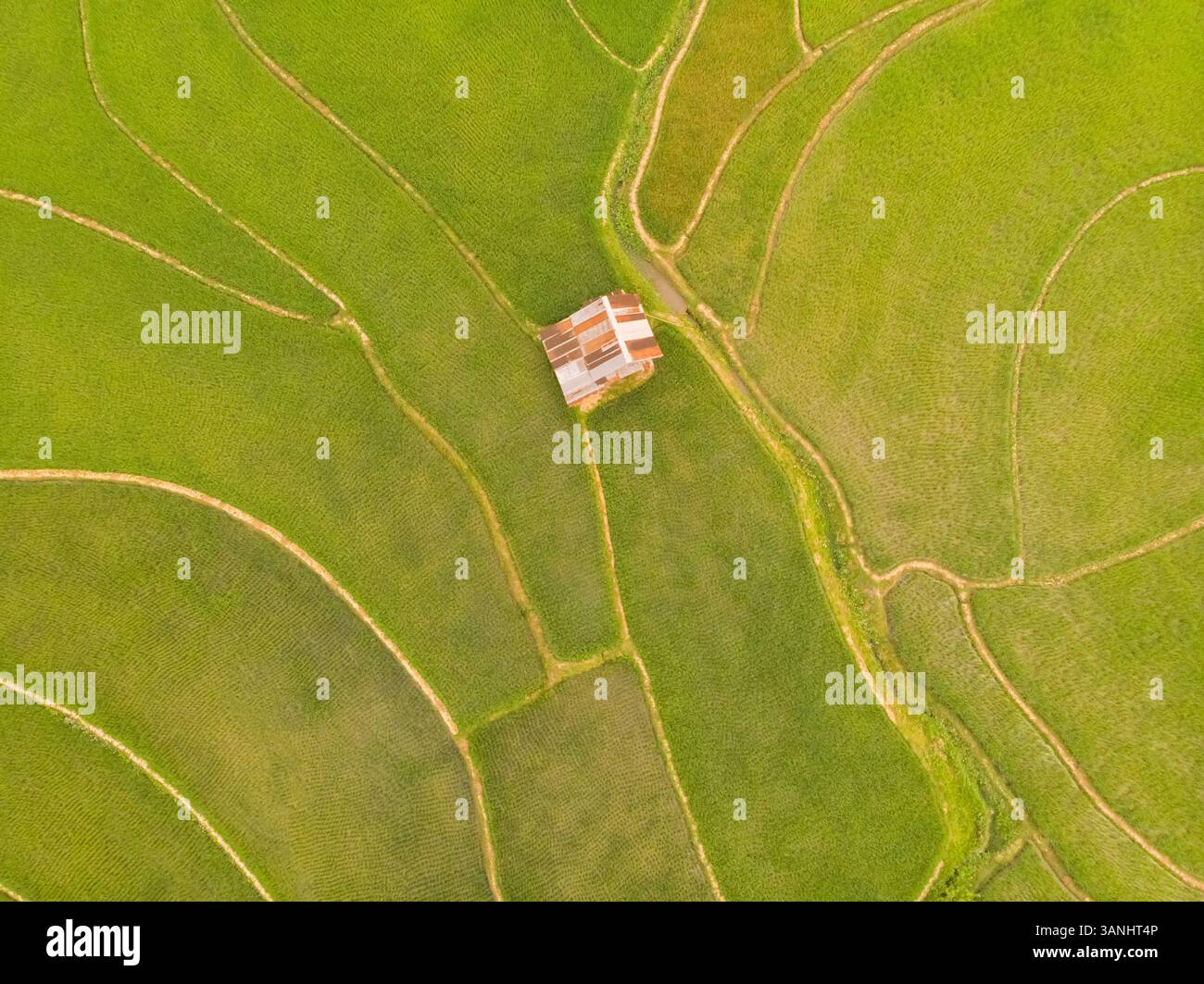 Flight above rice paddy fields hi-res stock photography and images - Alamy