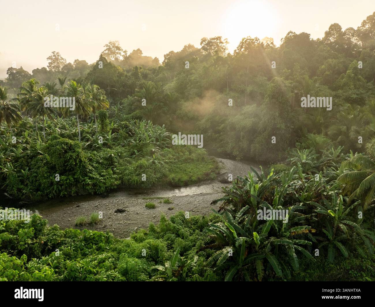 Aerial view of lush tropical rainforest and meandering river with mist ...