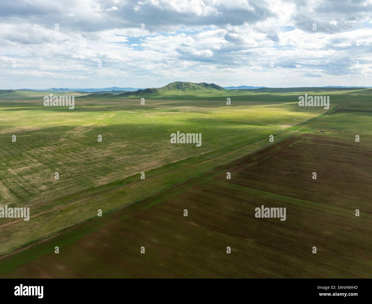 Aerial view of beautiful green fields and hills under a vast sky with clouds, Baruunburen ...