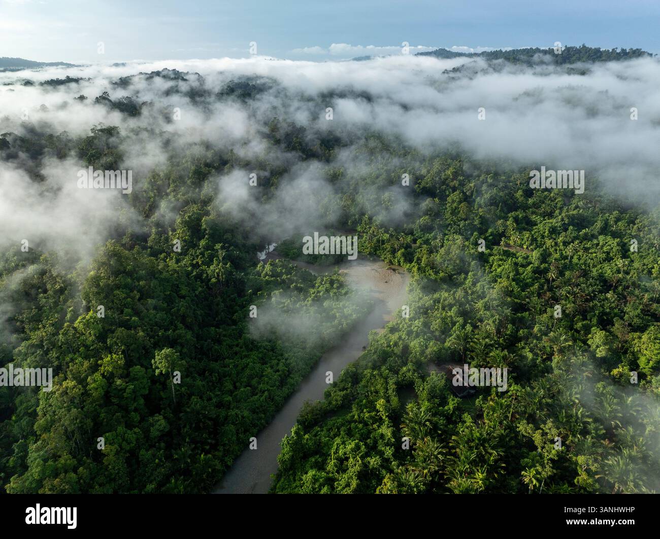 Aerial view of lush rainforest and serene river with clouds above ...