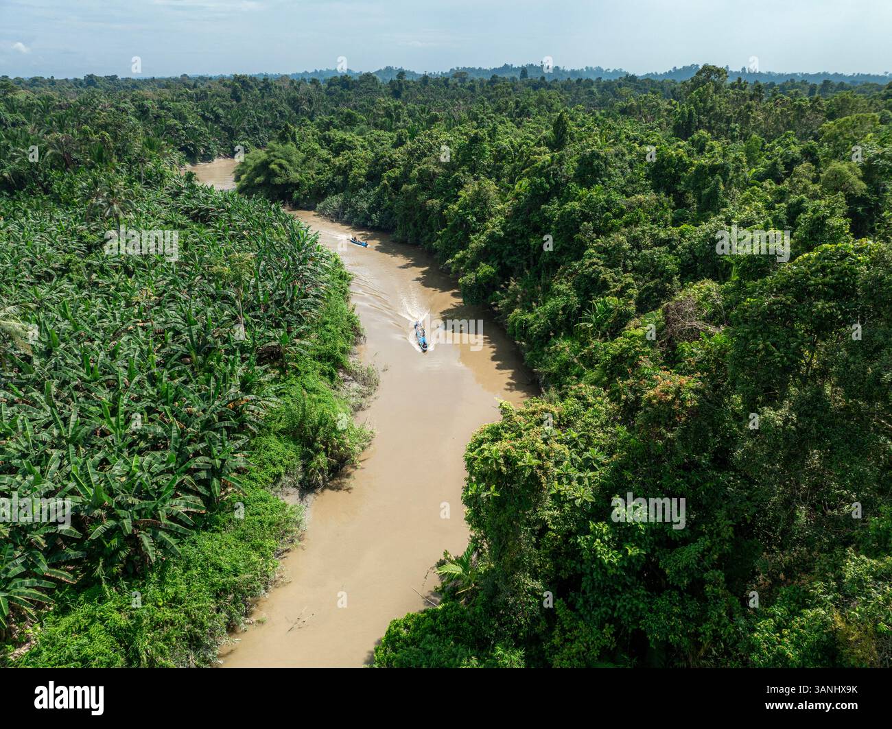 Aerial view of a lush tropical river winding through a pristine forest ...