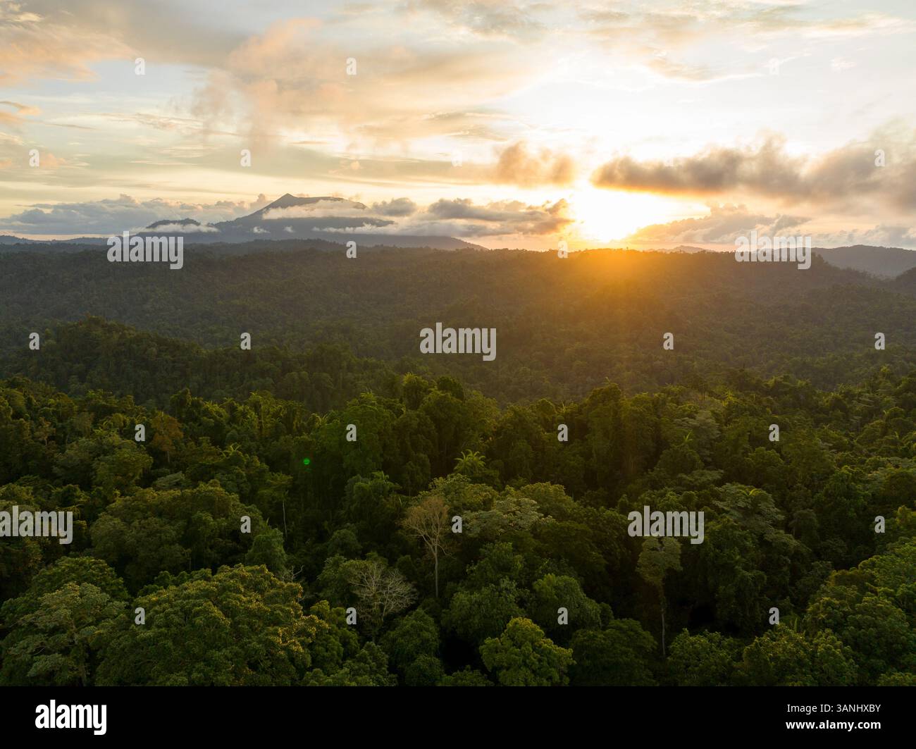 Aerial view of sunset through clouds over jungle in Halmahera ...