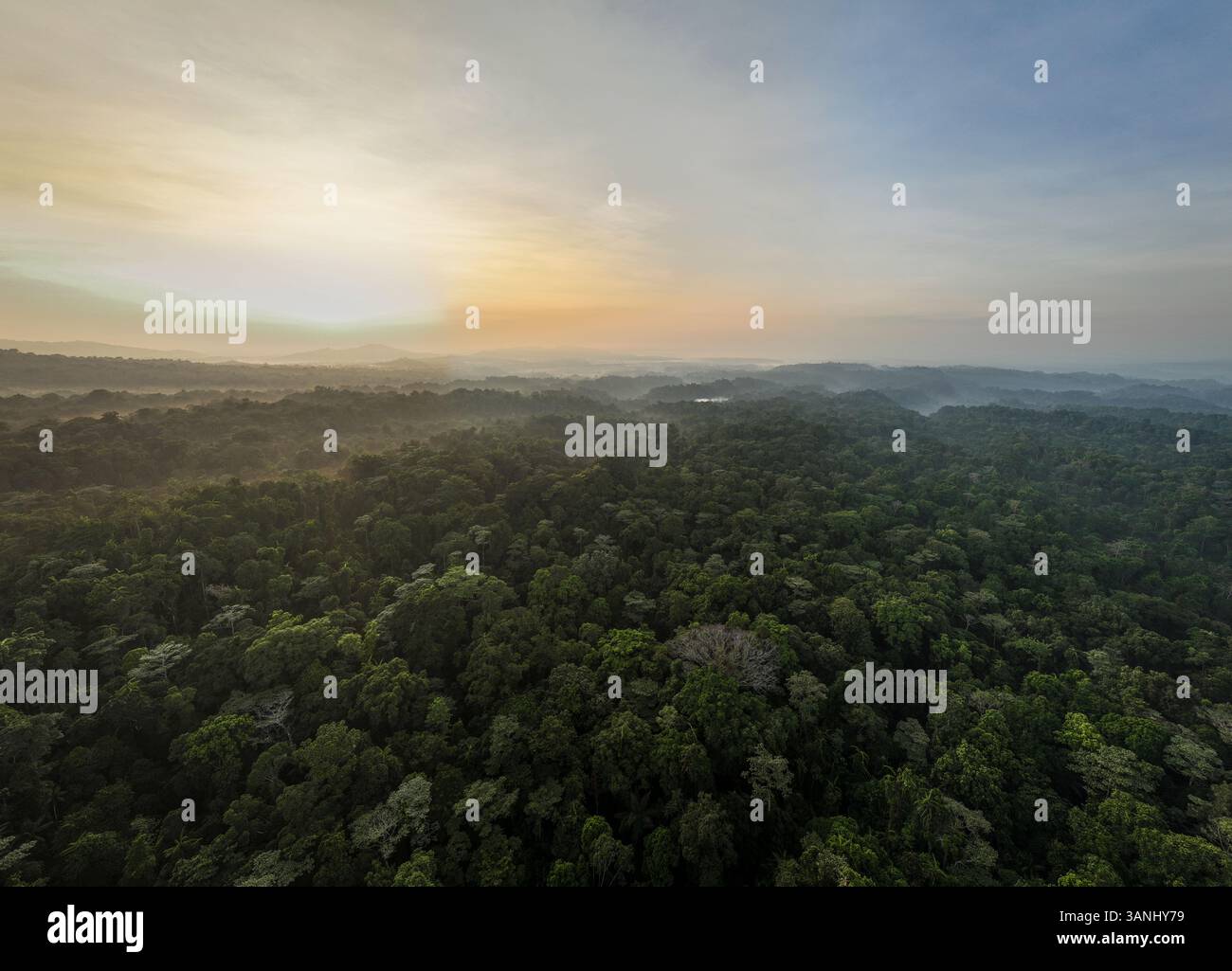 Aerial panoramic view of hazy sunset over lush primary forest in ...