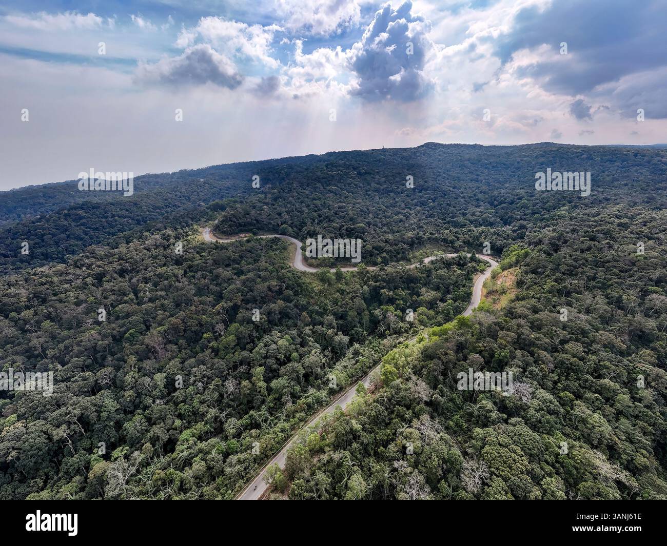 Aerial view of winding road through lush forest and majestic mountain ...