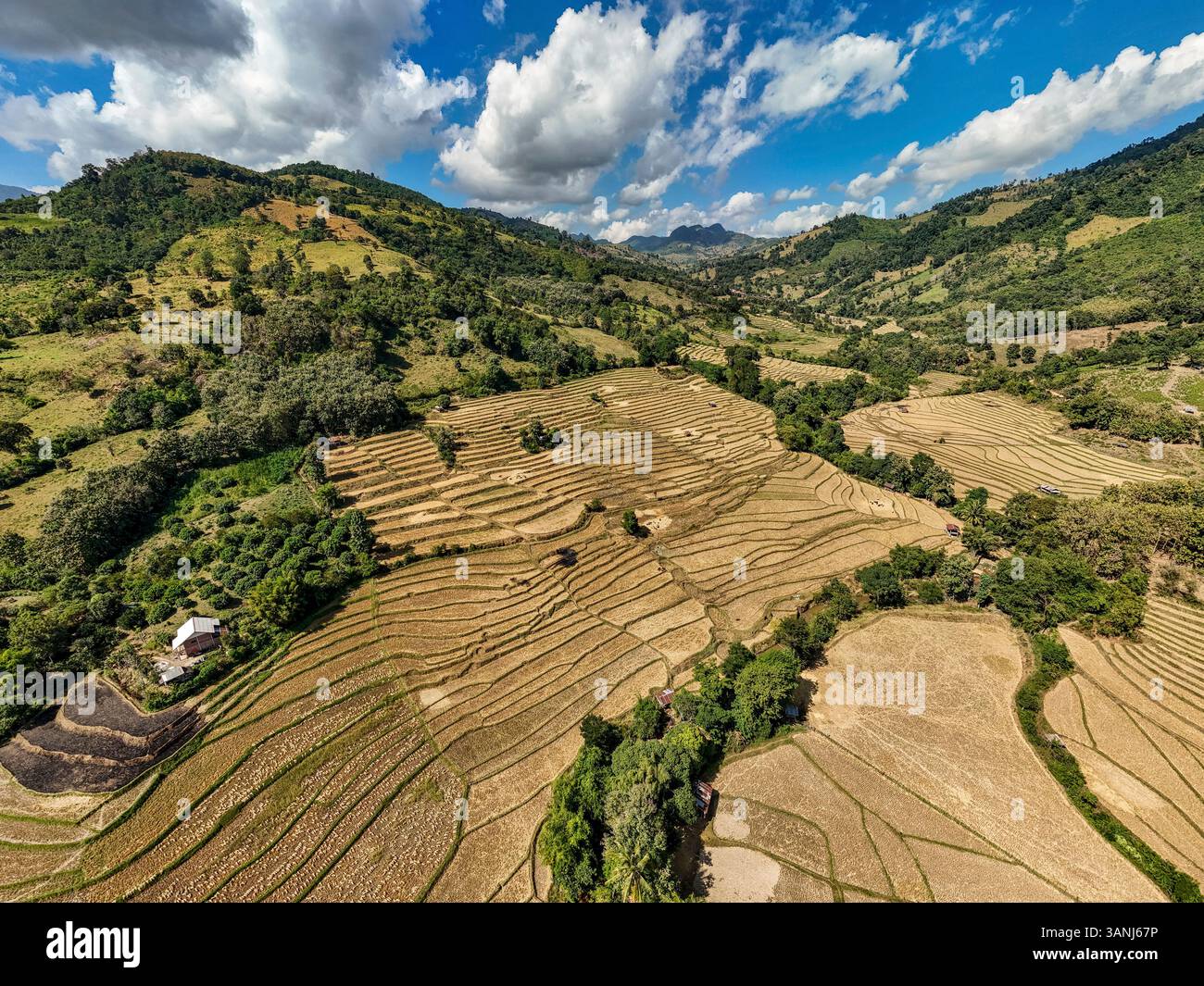 Aerial view of beautiful rice terraces and lush green fields under a ...
