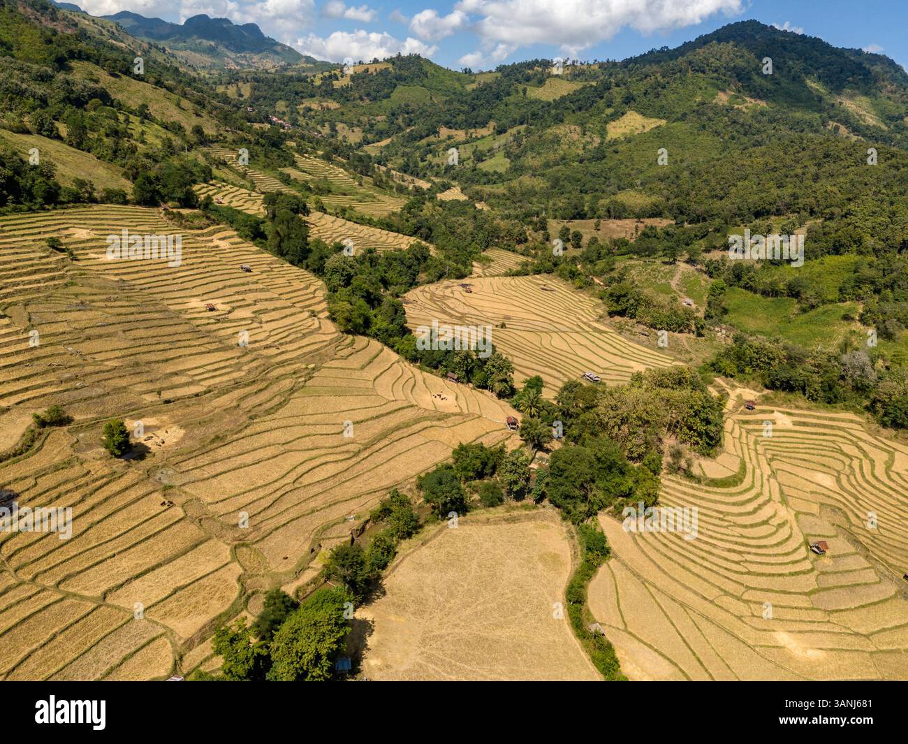 Aerial view of lush rice terraces and scenic mountains in a tranquil ...