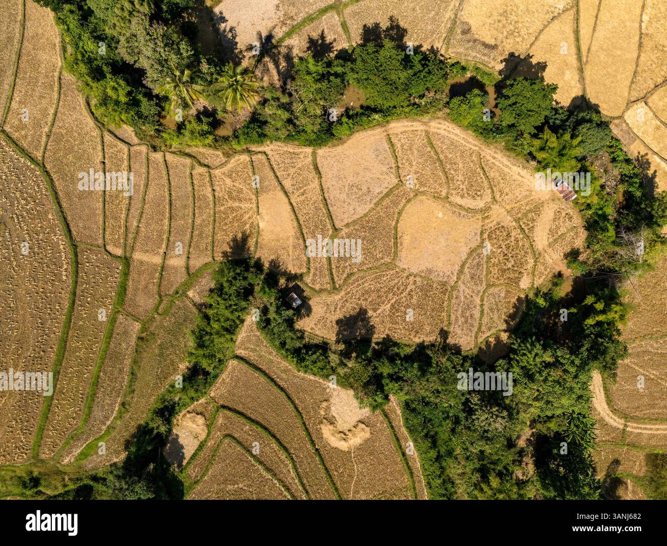 Aerial view of beautiful green rice terraces in a rural landscape, Pak ...