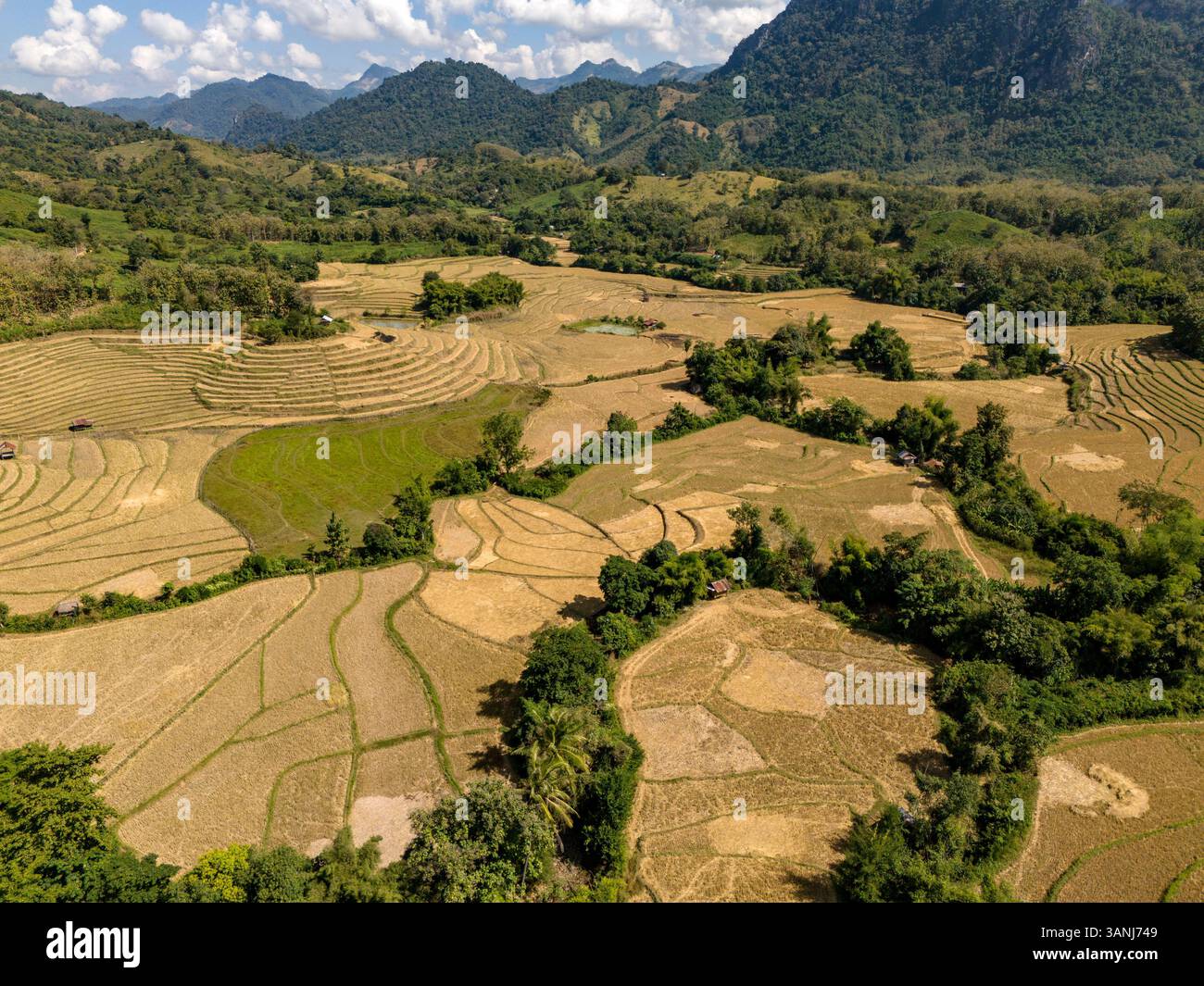 Aerial view of lush terraced rice fields amidst scenic mountains and ...