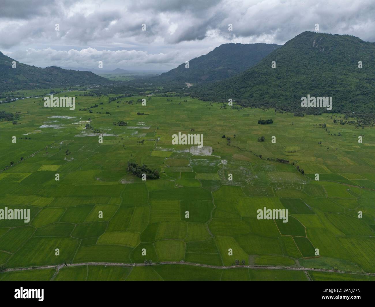 Aerial view of lush terraced rice fields and mountains under a cloudy ...