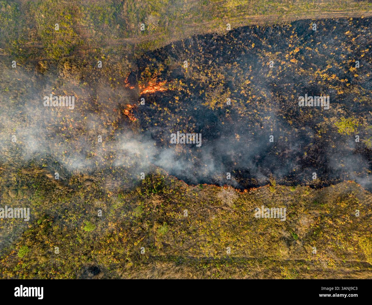 Aerial view of burning fields with smoke and charred earth from slash ...