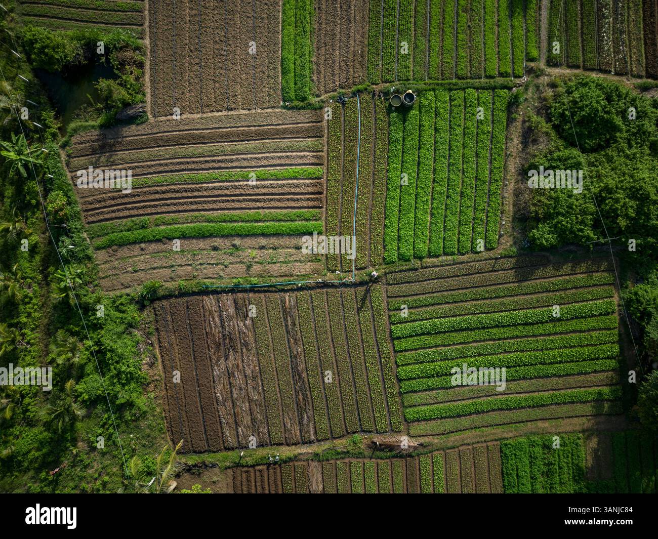 Aerial view of countryside, Kampot province, Cambodia Stock Photo - Alamy