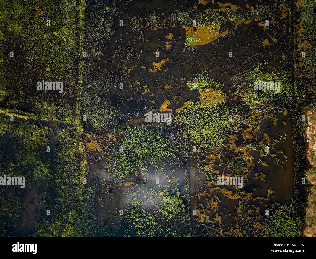 Aerial view of countryside, Kampot province, Cambodia Stock Photo - Alamy