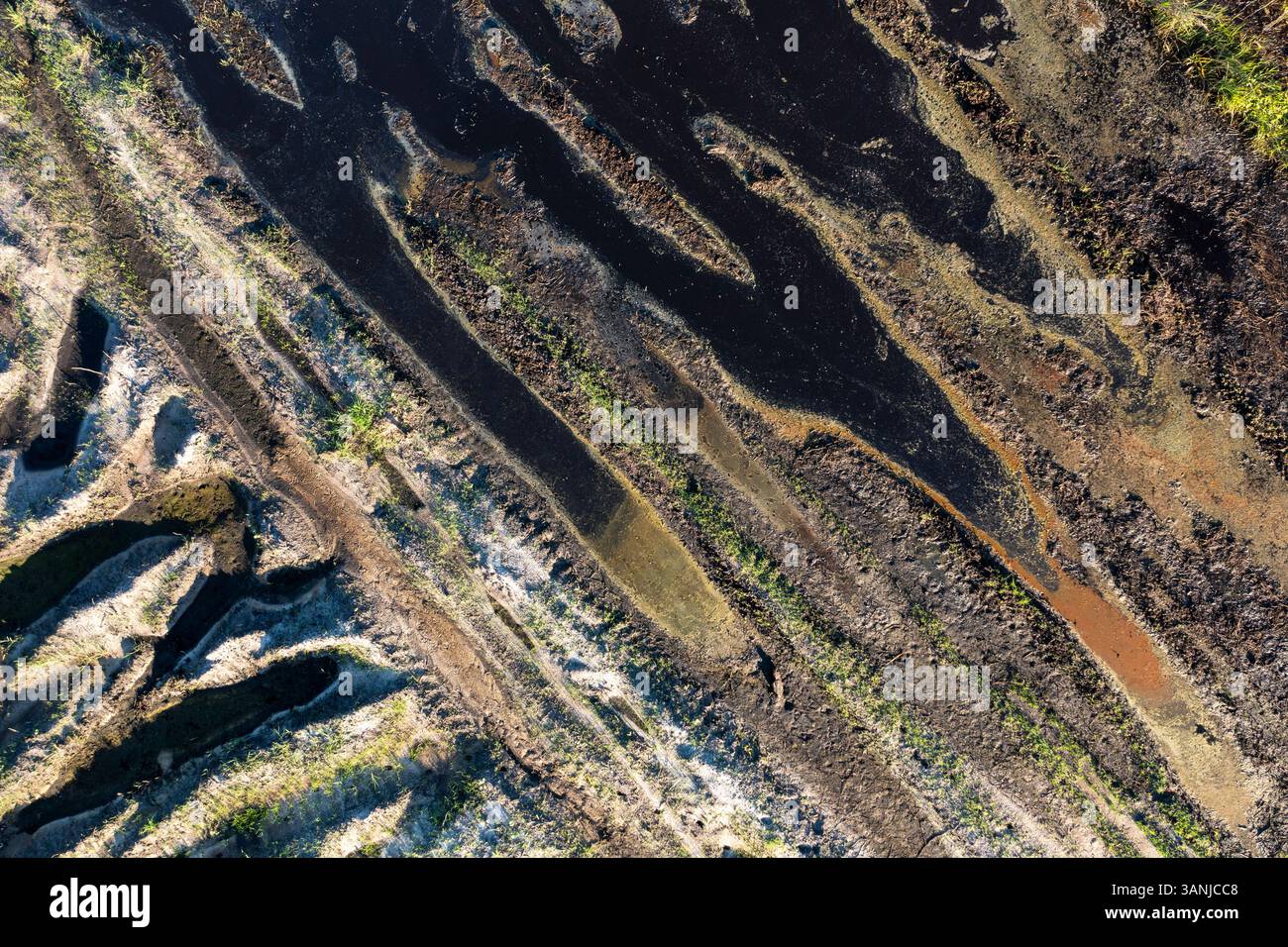 Aerial view of beautiful wetlands with lush green vegetation and water ...