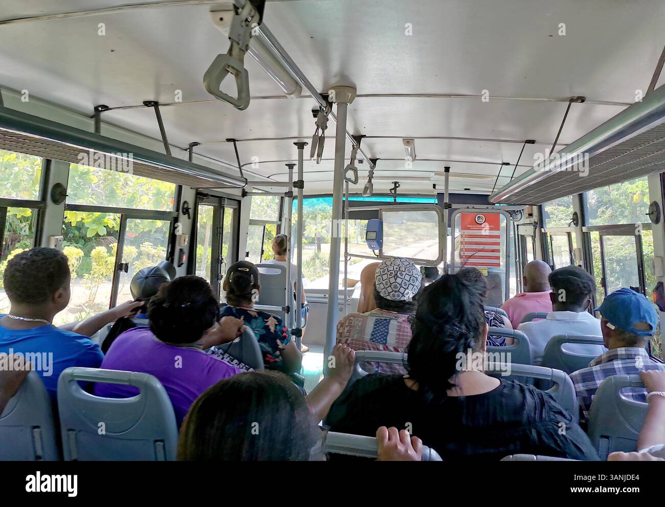 03 March 2025, Seychelles, Praslin: Passengers sit in a bus. Photo ...