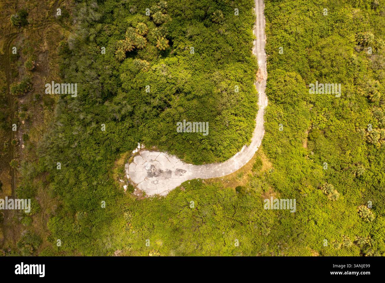 Aerial view of lush forest and winding road in The Compound, Palm Bay ...