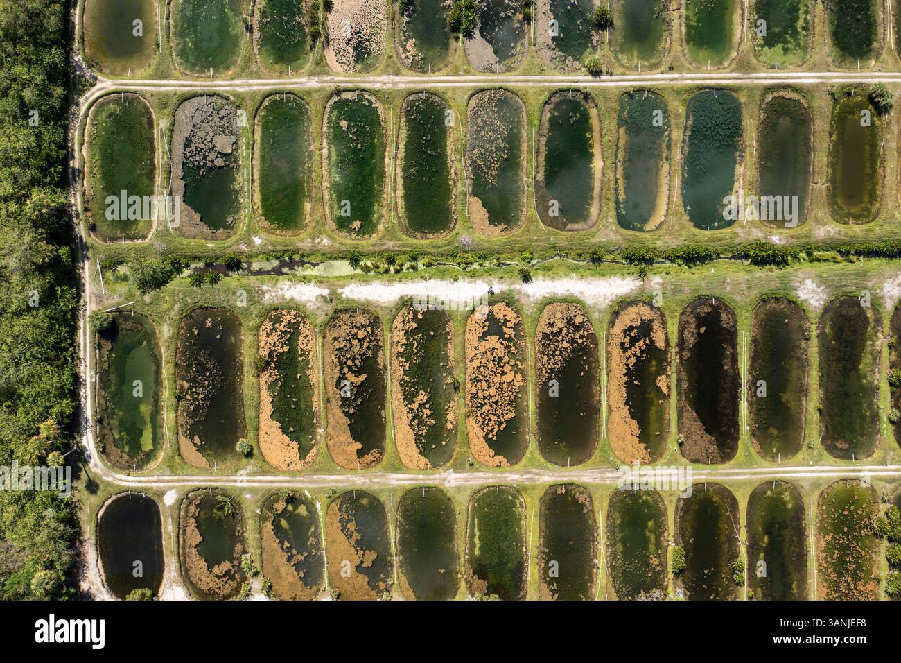 Aerial view of aquaculture ponds with green vegetation and water ...