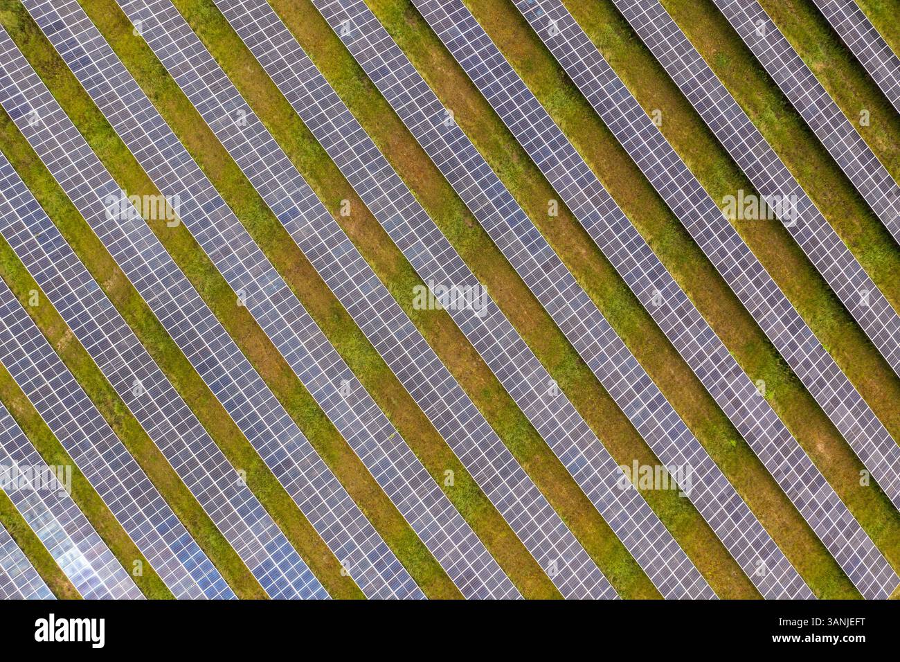 Aerial view of solar panels in rows at the FP&L Palm Bay Solar Energy ...