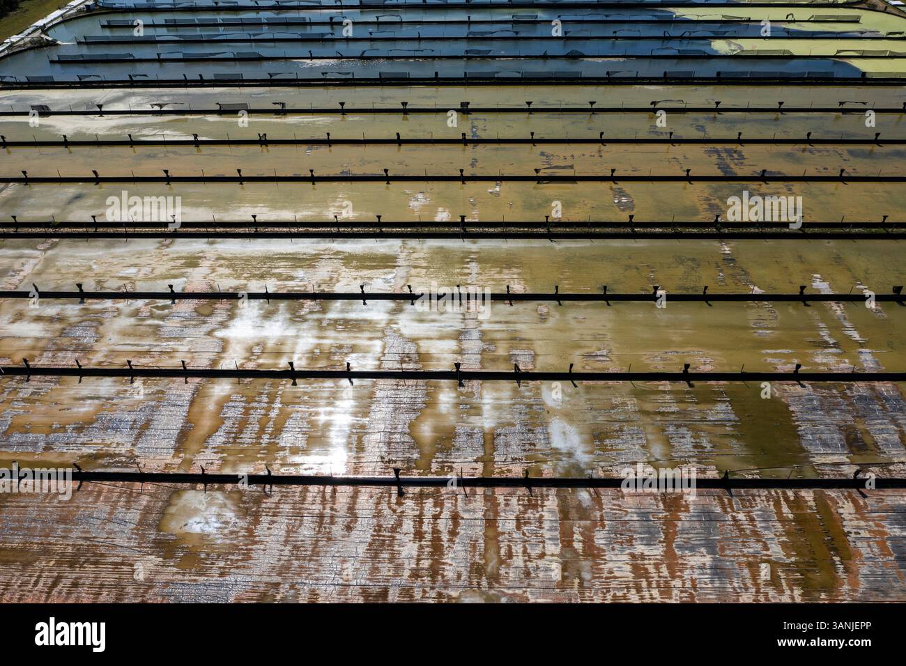 Aerial view of aquaculture facility with raceways and water lentil in a ...