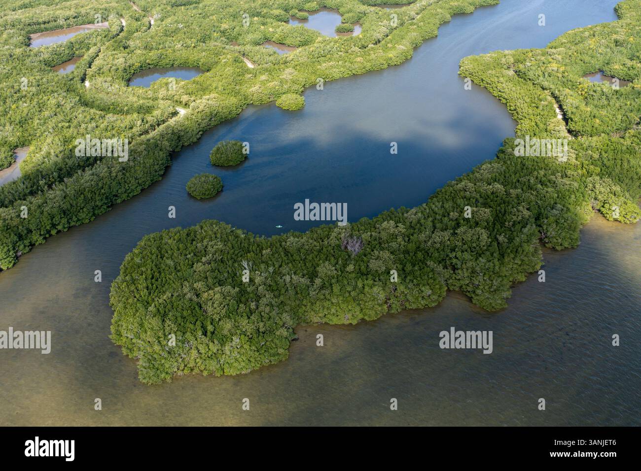 Aerial view of lush mangroves and serene waters of the Oslo Riverfront ...