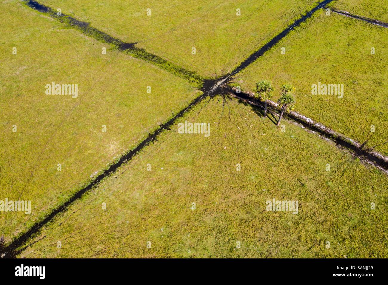 Aerial view of a pasture field, Palm Bay, Florida, United States Stock ...