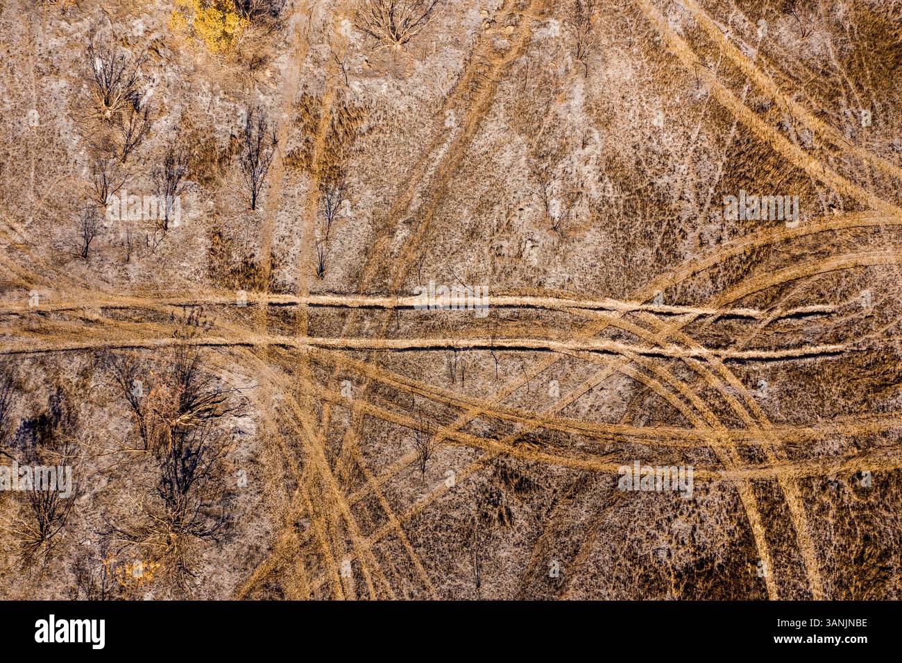 Aerial view of vehicle tracks in a field among the trees, Southwest ...