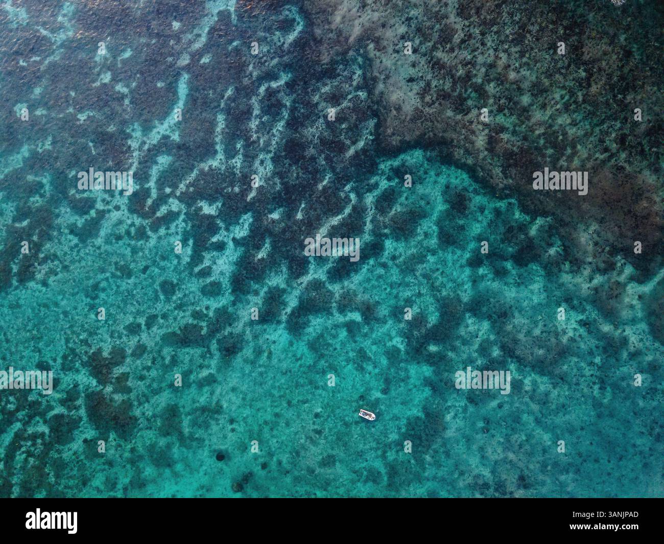 Aerial view of Kayaker on crystal clear blue ocean, Pointe aux ...