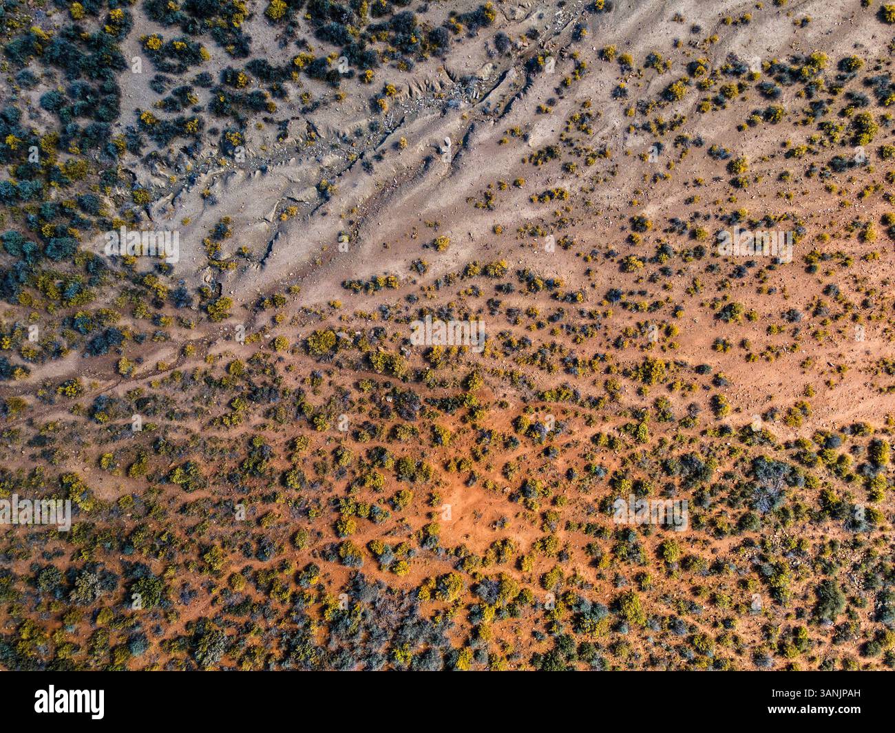 Aerial view of natural forms and patterns, Drie Kuilen Nature Reserve ...