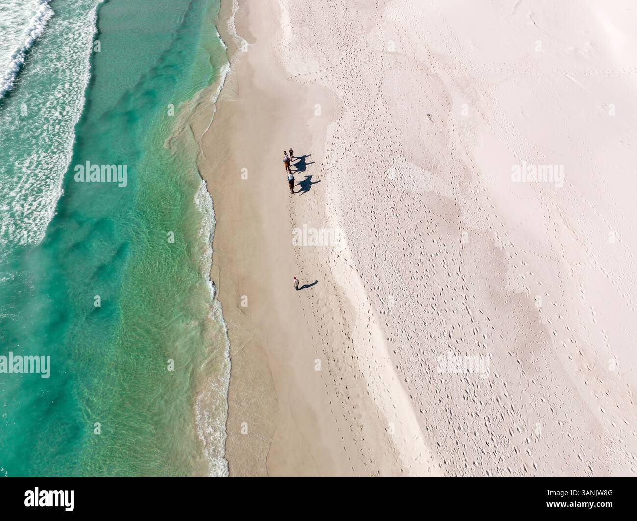 Aerial view of a person riding a horse along the beach, Cape Town ...