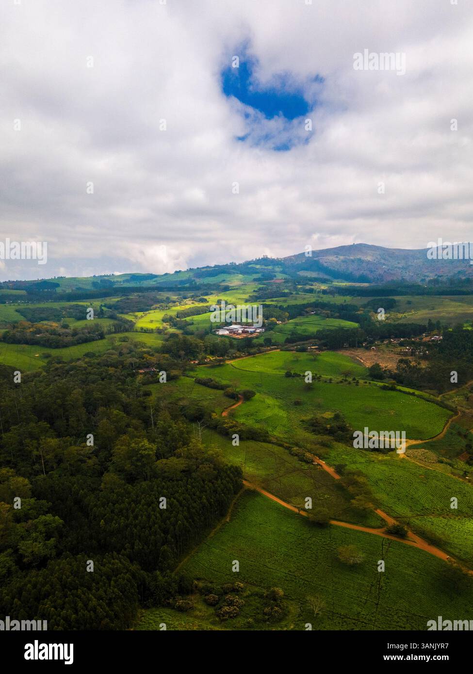 Panoramic aerial view of Satemwa tea farm Thyolo Malawi, Africa Stock ...