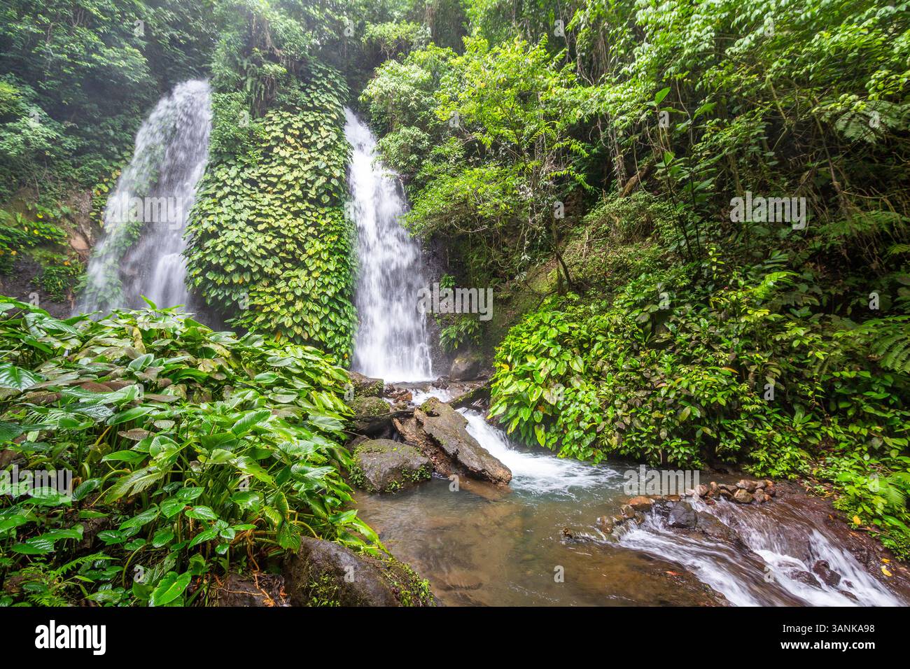 Itbug Falls in Buhi, Camarines Sur—an untouched gem surrounded by lush ...