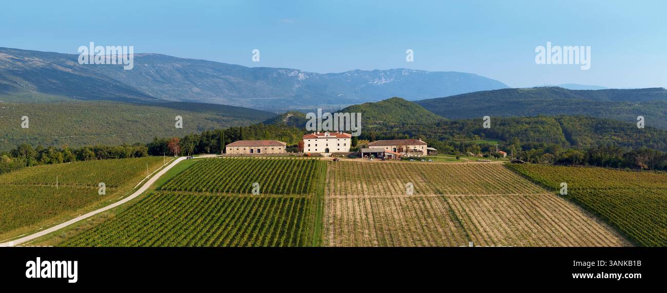 Aerial view of vineyard estate with scenic mountains and road, Castle ...