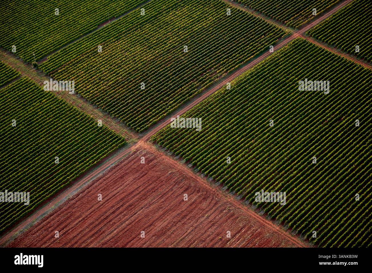Aerial view rows soil hi-res stock photography and images - Alamy