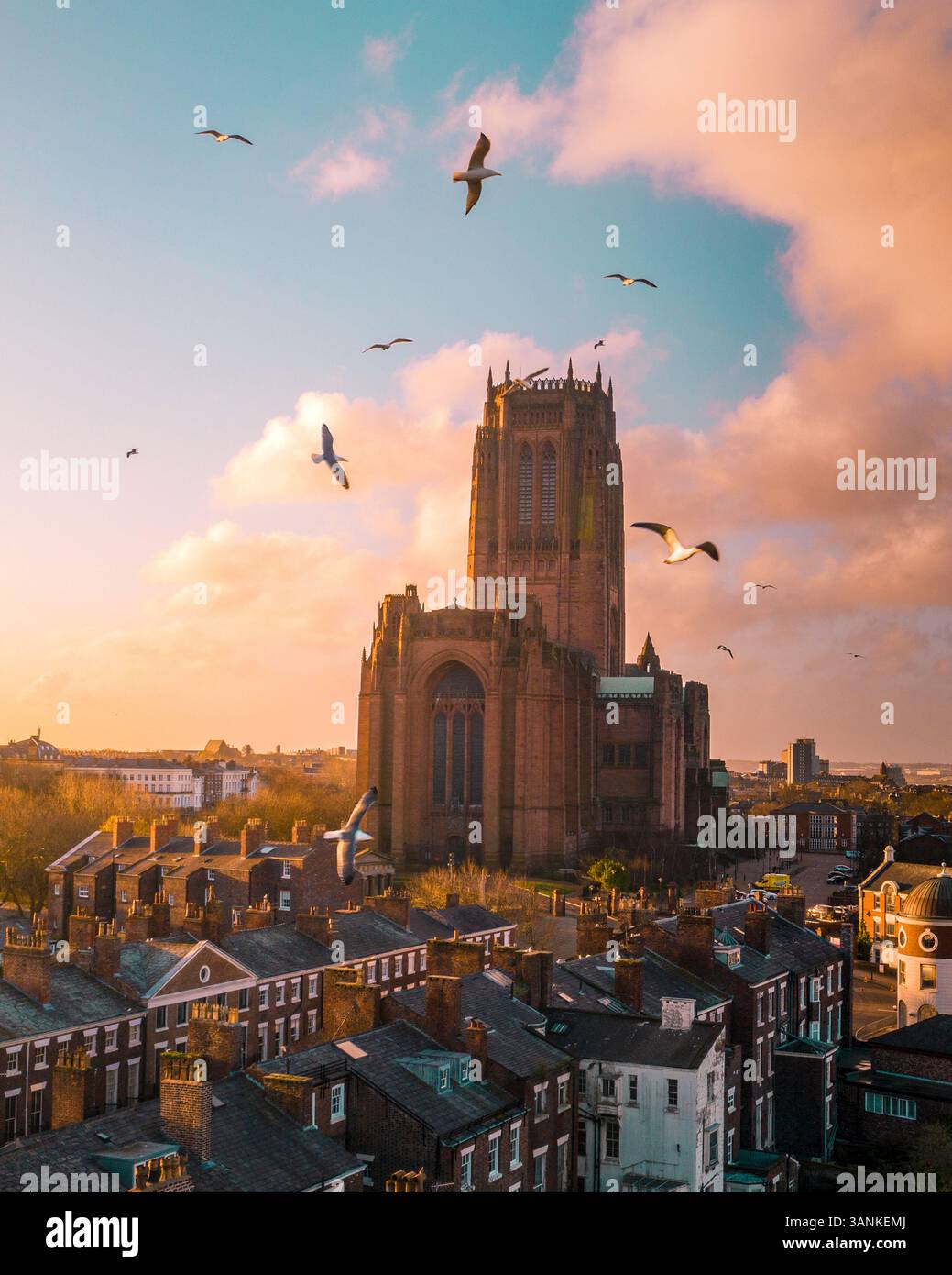 Aerial view of the majestic Liverpool Cathedral surrounded by charming ...
