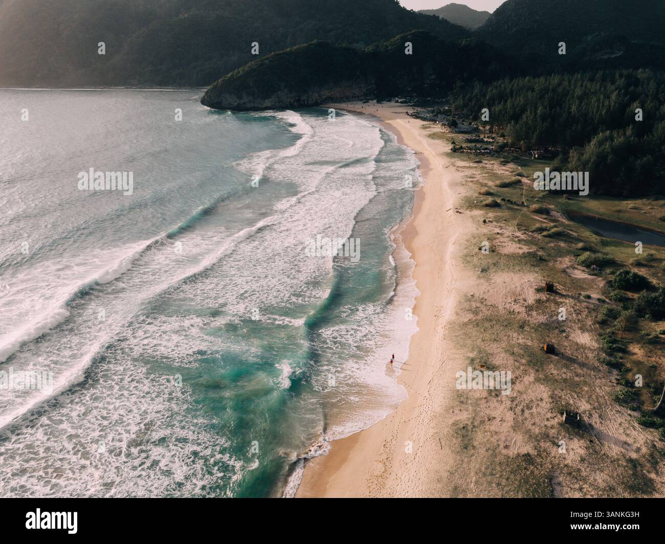 Aerial view of sandy beach with wave and trees in Lampuuk, Aceh ...