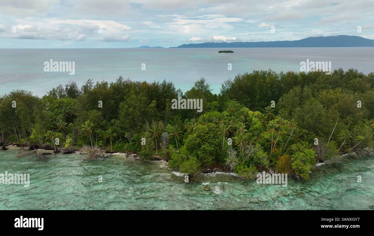 Aerial view of a tropical island with lush greenery and pristine reef ...