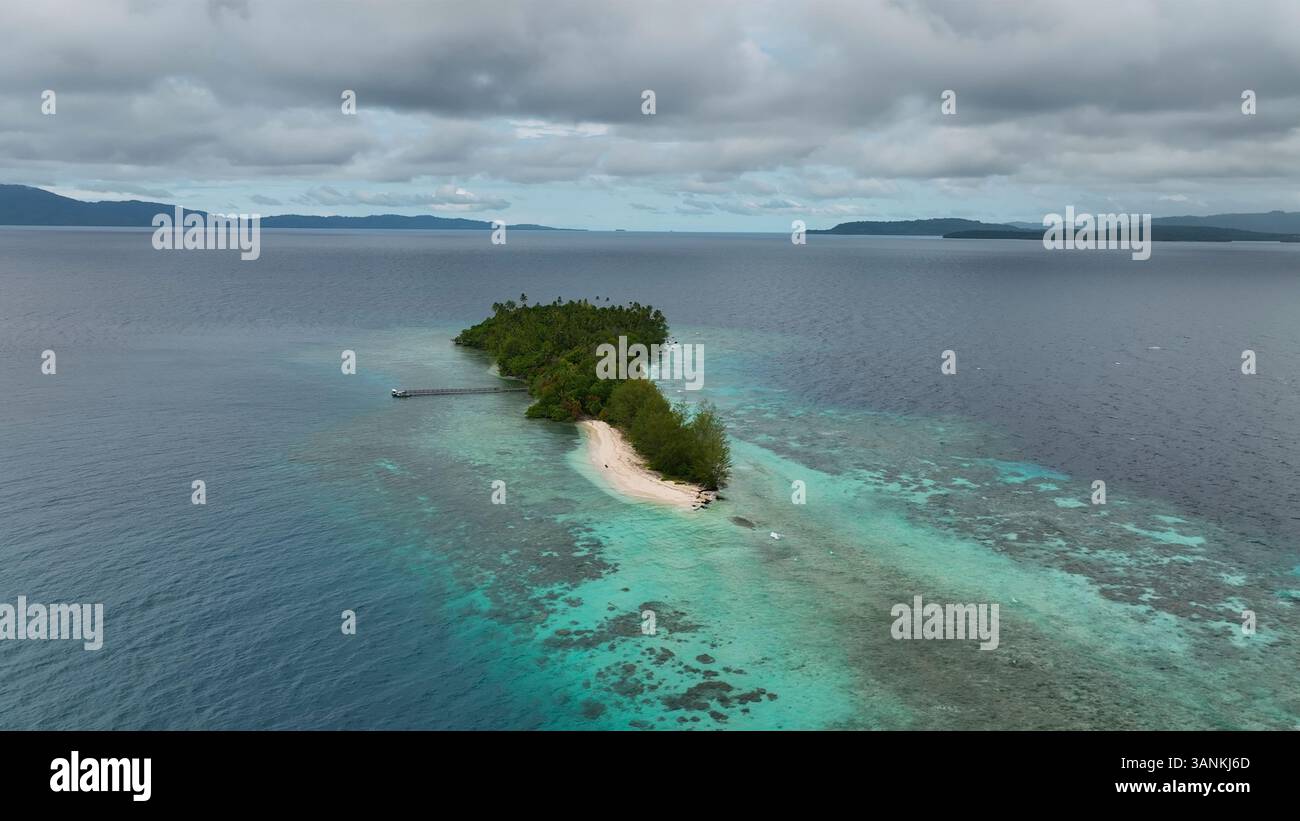 Aerial view of tropical island with sandy beach and clear water ...