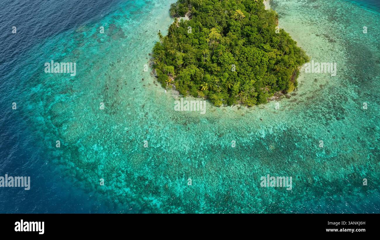 Aerial view of a tropical island with turquoise waters and vibrant ...