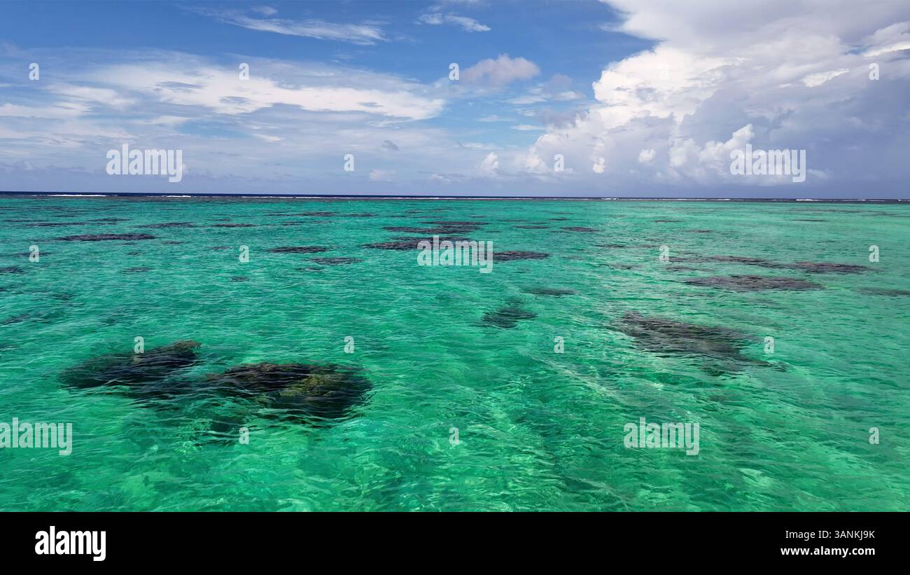 Aerial view of tropical reef and serene ocean with turquoise water ...