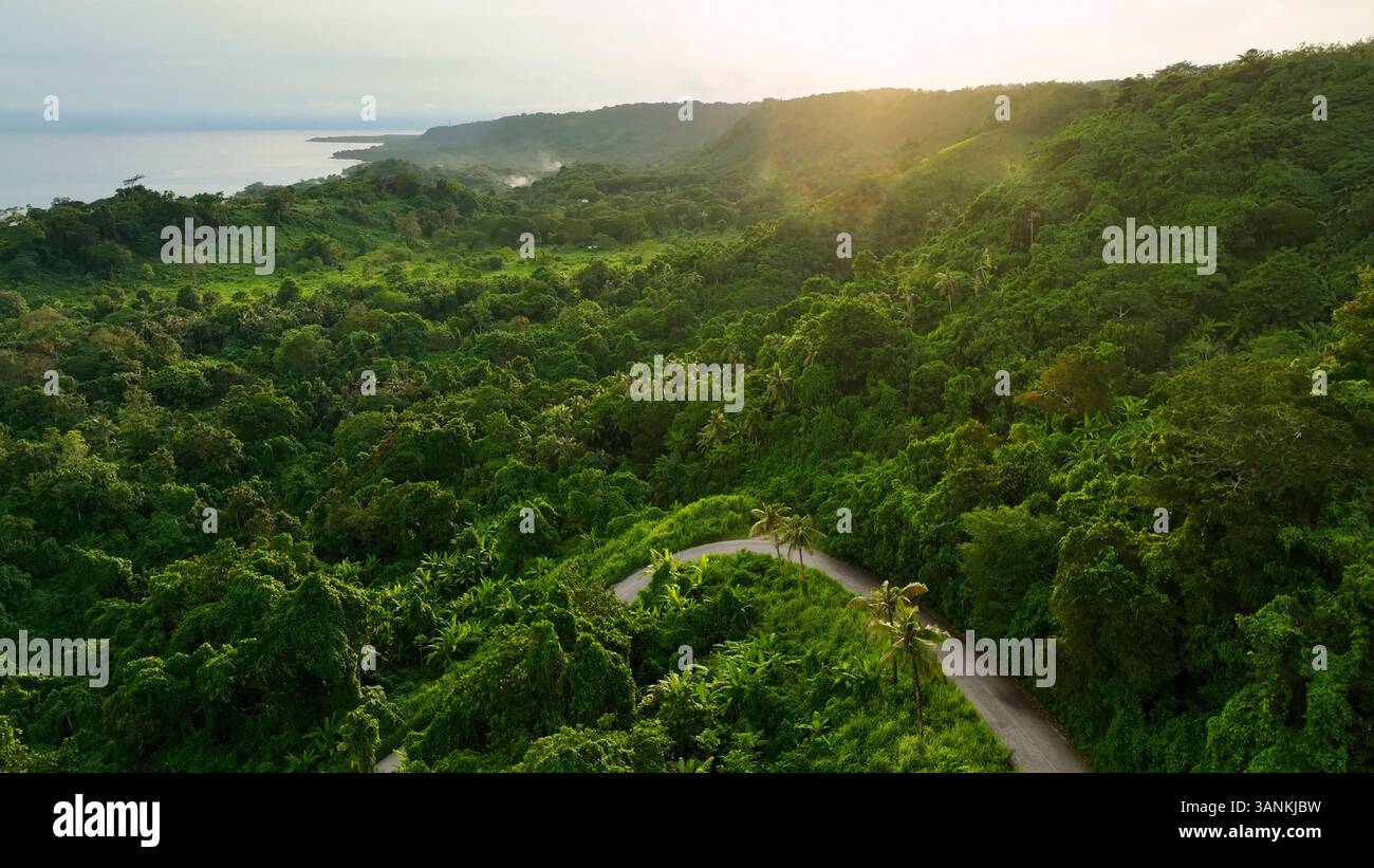Aerial view of a curvy road winding through lush tropical forest at ...