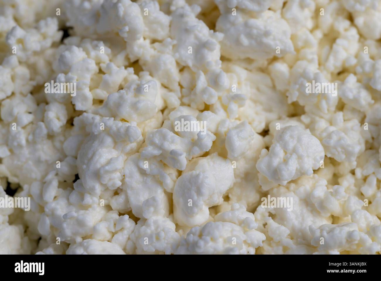 cottage cheese from milk in the form of lumps, lumps of freshly made ...